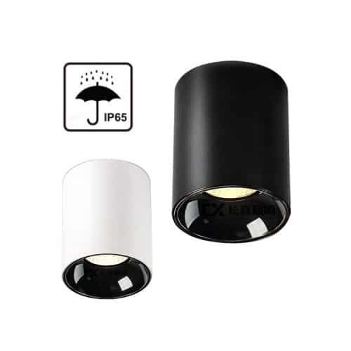 Outdoor IP65 Waterproof Surface Mounted Cylinder Downlight - GRNLED